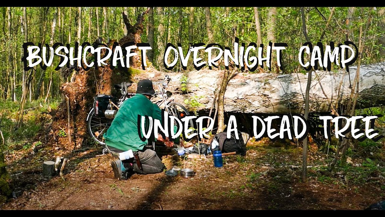 Solo Overnight Bushcraft Camp Under a Fallen Tree - Survival Shelter ...