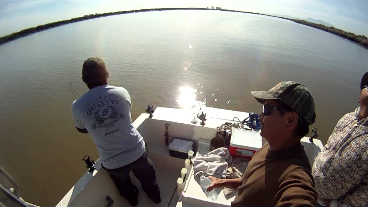 BenD Ur RoD.... 3/20/2014 Suisun slough..Pig City.. - YouTube