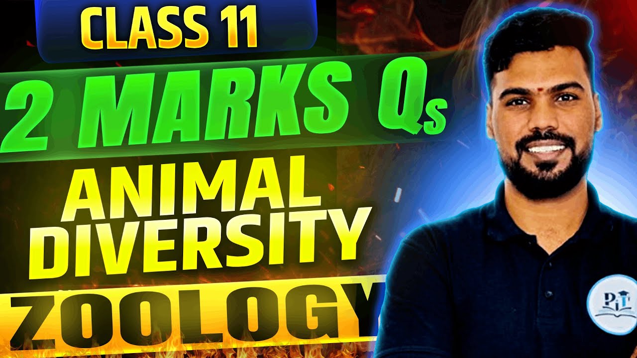 Animal diversity Class 11 In One Shot 2Marks || PIT CLASSES || #zoology ...