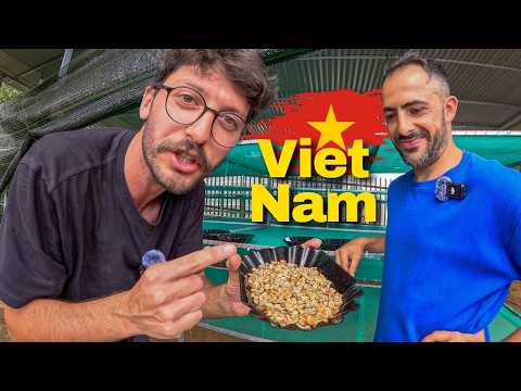 Türkischer Kaffeeproduzent in Vietnam erklärt: Kann man mit dem Kaffeegeschäft reich werden?