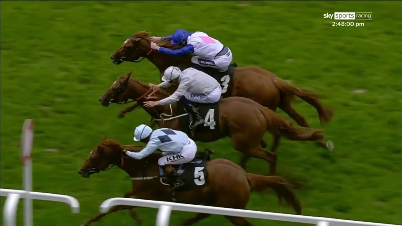 Unbelievable! A three-way photo finish at Ascot as Urban Sprawl comes ...