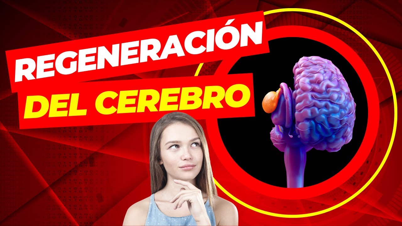 🧠REGENERACION DEL CEREBRO (Regeneración compensatoria) | NEUROCIENCIA ...