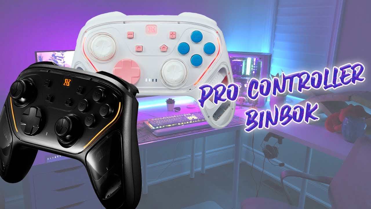 Pro Controllers RGB BINBOK - YouTube