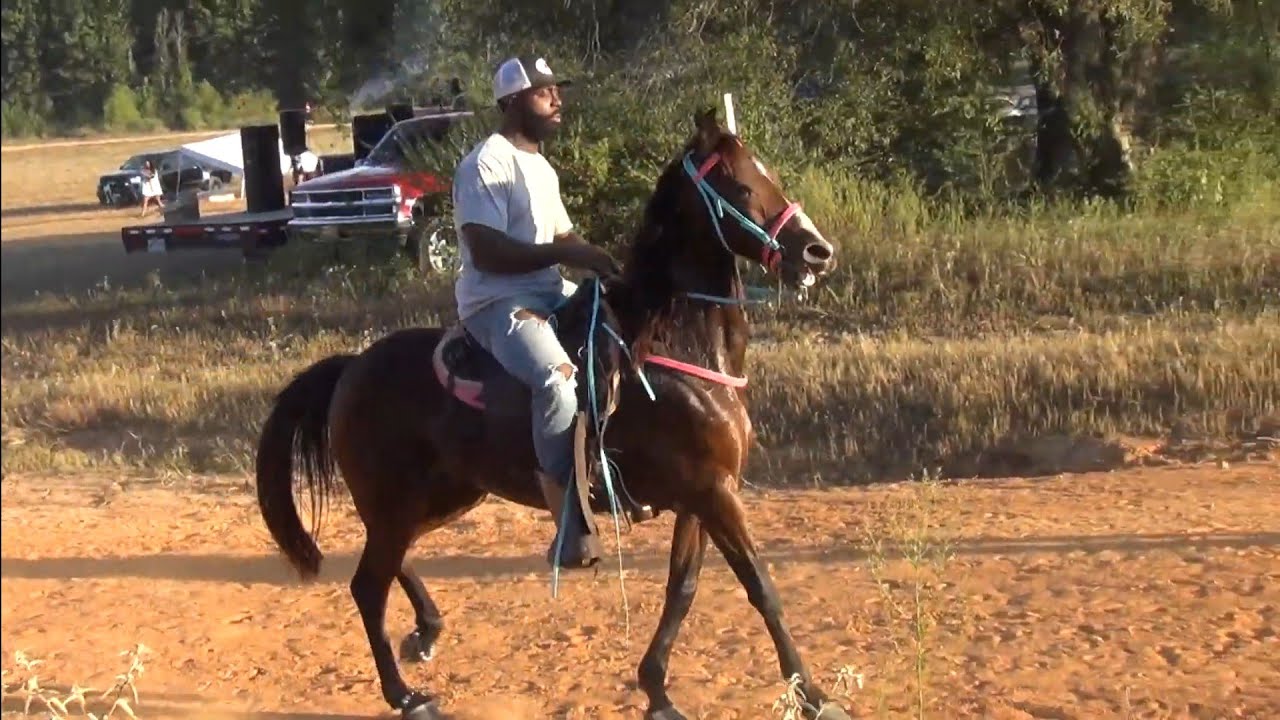 Cason Texas Trail Ride 2021 - YouTube