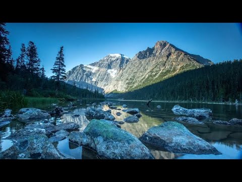 The NATURE of Our Planet is Absolutely Amazing - YouTube