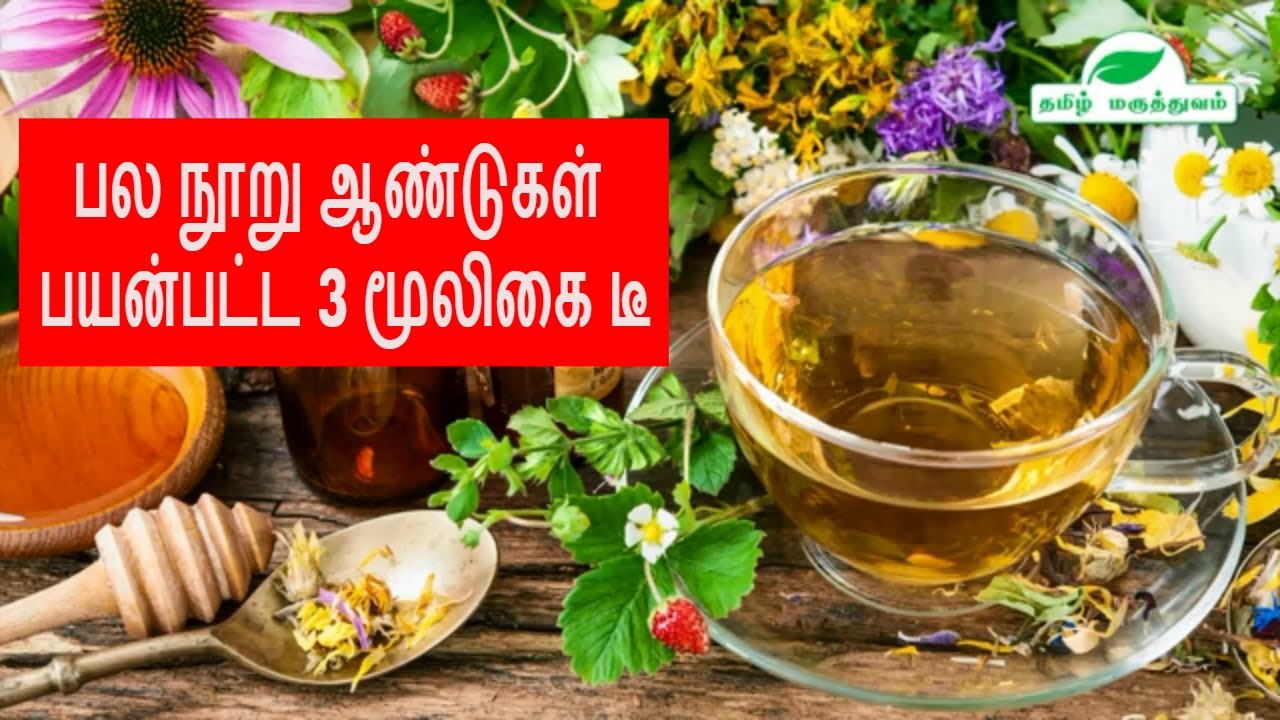 பல நூறு ஆண்டுகள் பயன்பட்ட 3 மூலிகை டீ | 3 Ancient Herbal tea recipes in ...