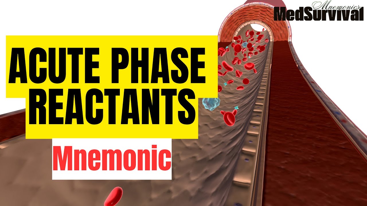 Acute Phase Reactants (Inflammatory Markers) | Easy Mnemonic For Names ...