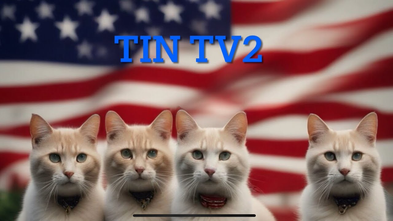 TIN TV2 Taco Tuesday - YouTube