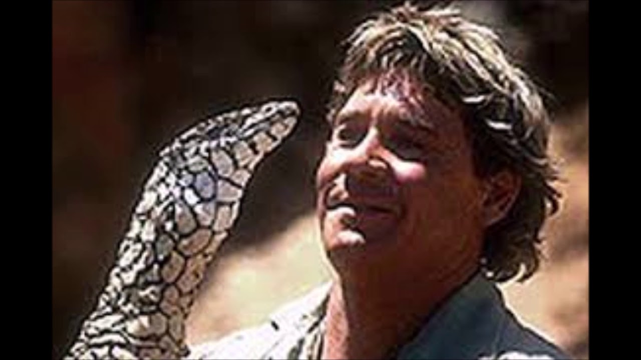 STEVE ERWIN WAS A COMPLETE FOOL. - YouTube