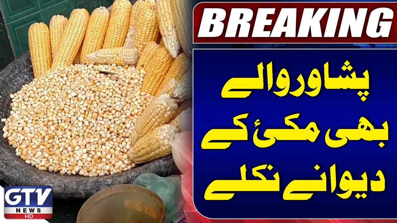 Peshawar's Obsession With Hot Corn | A Must-Try Winter Delight | GTV ...