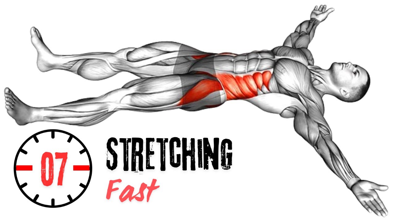 Best Morning Stretch at Home (Stretches for Flexibility) - YouTube