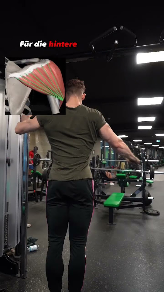 effektive Übung für jede Muskelgruppe 💪🏻 #muskelaufbau - YouTube