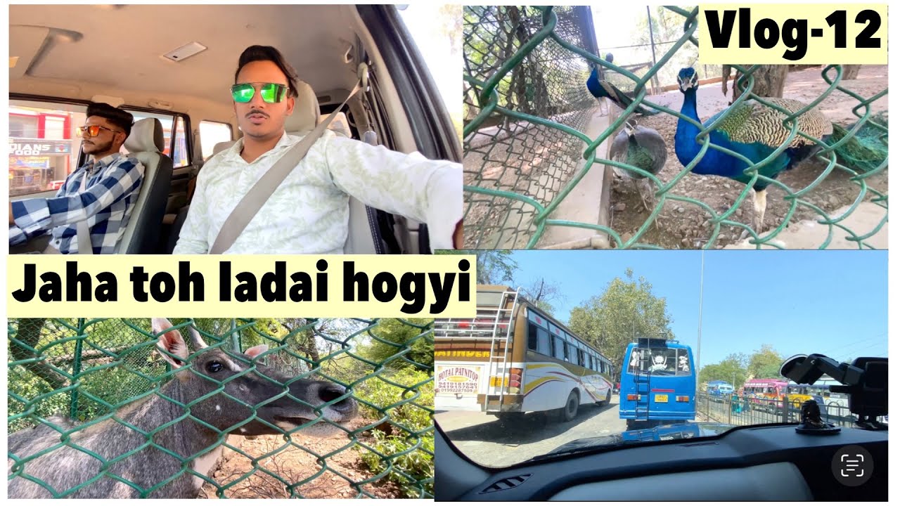 Vlog-12 | Aaj gume apna jammu sehar 😍 | Jammu Manda zoo | part-1 - YouTube