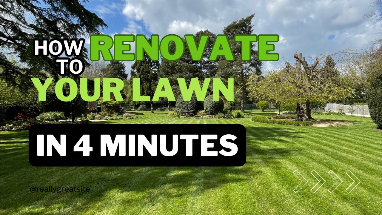 How to Renovate your lawn - a 4 minute walk through - YouTube