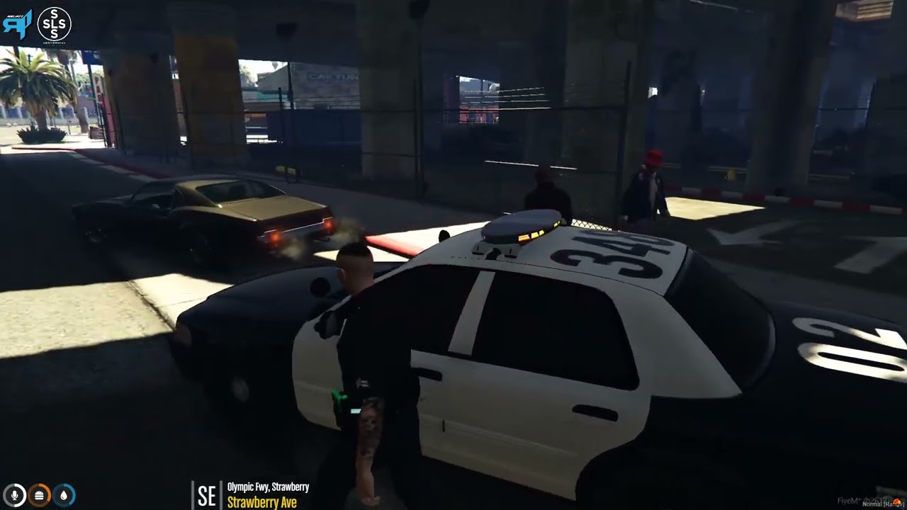 RP PROJECT POLICE VS NPC - YouTube