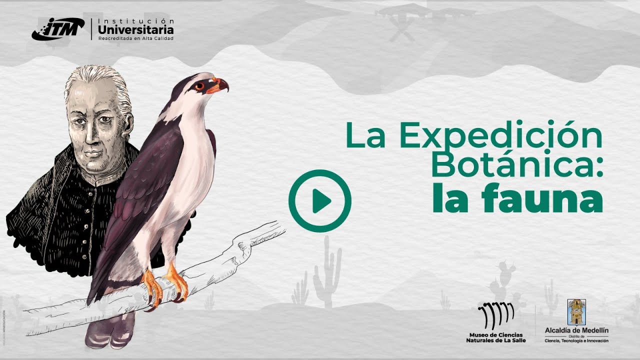 Expedición Botánica - Parte 3: La era zoológica - YouTube