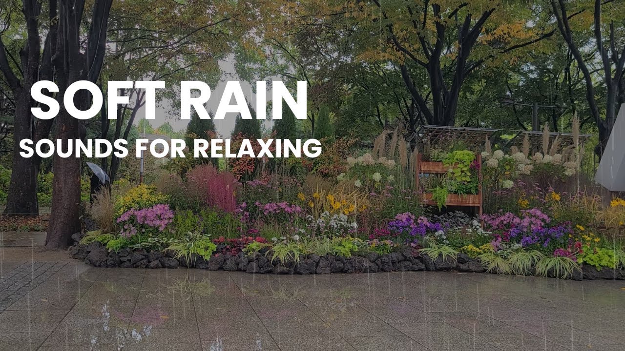 SOFT RAIN SOUNDS perfect to help relax, study, focus and sleep. #rain # ...