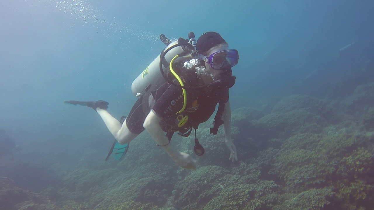 Anau dive spot in Bora Bora French Polynesia Manta Rays!!! - YouTube