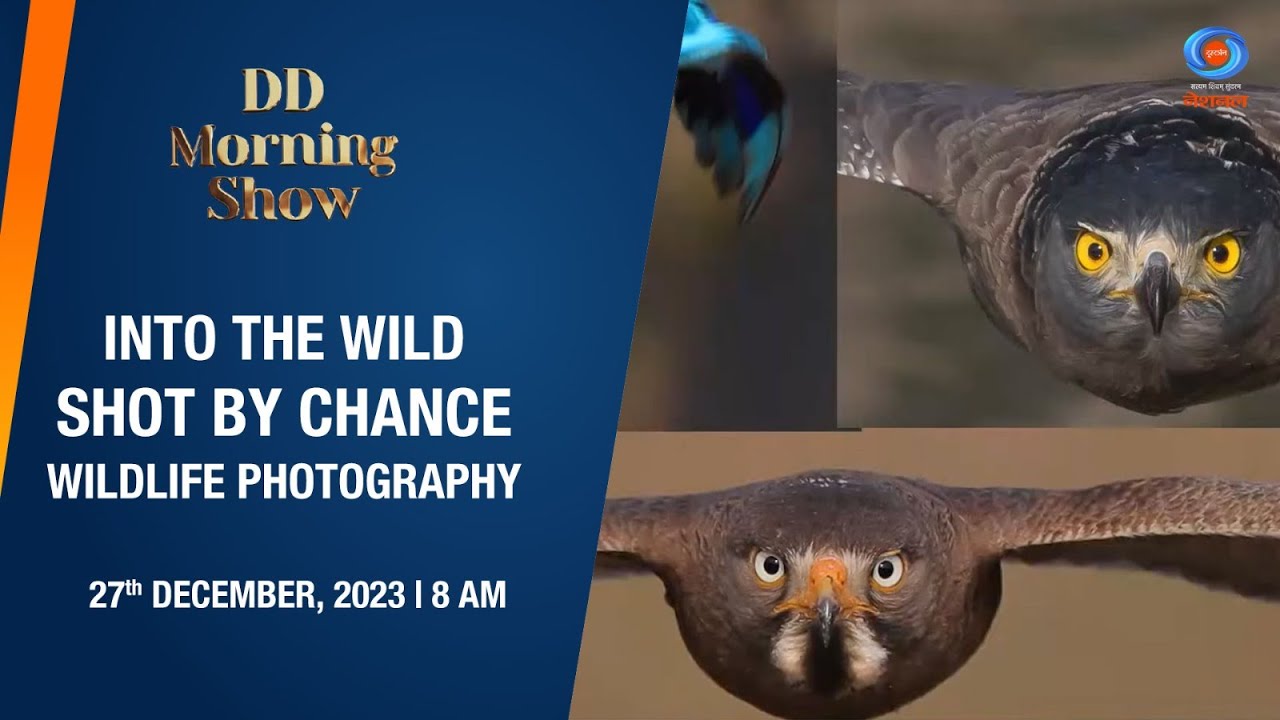 DD Morning Show | Into the Wild | Shot by Chance | Wildlife Photography ...