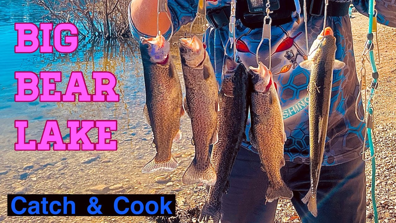 BIG BEAR LAKE Trout Fishing with PowerEggs and Micetails(Catch and Cook ...