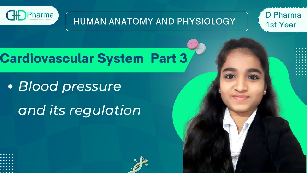 Cardiovascular System lecture 3|| D.PHARM FIRST YEAR|| DD pharma ...