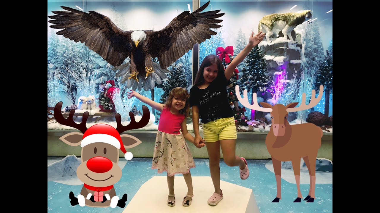 CONHECENDO OS ANIMAIS DE NATAL! - YouTube