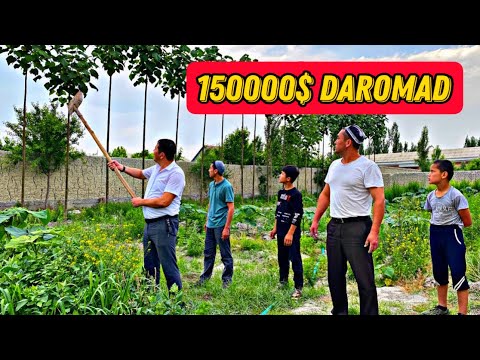 2500$ PUL TIKIB BOSHLANADIGAN SHOV-SHUVLI MASHXUR BIZNES PAVLONIYA YETISHTIRIB SOTISH BIZNESI