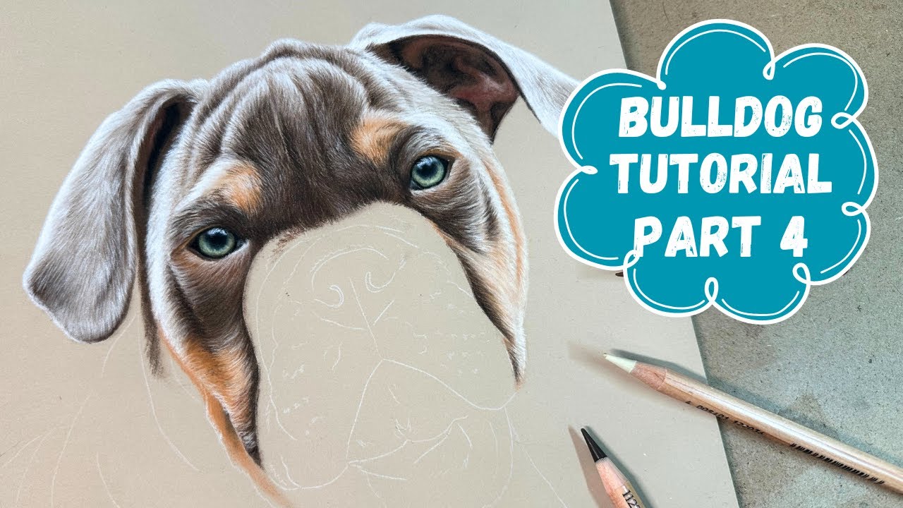 Bulldog Pastel Pencil Tutorial Part 4 - Real Time Tutorial - Face - YouTube
