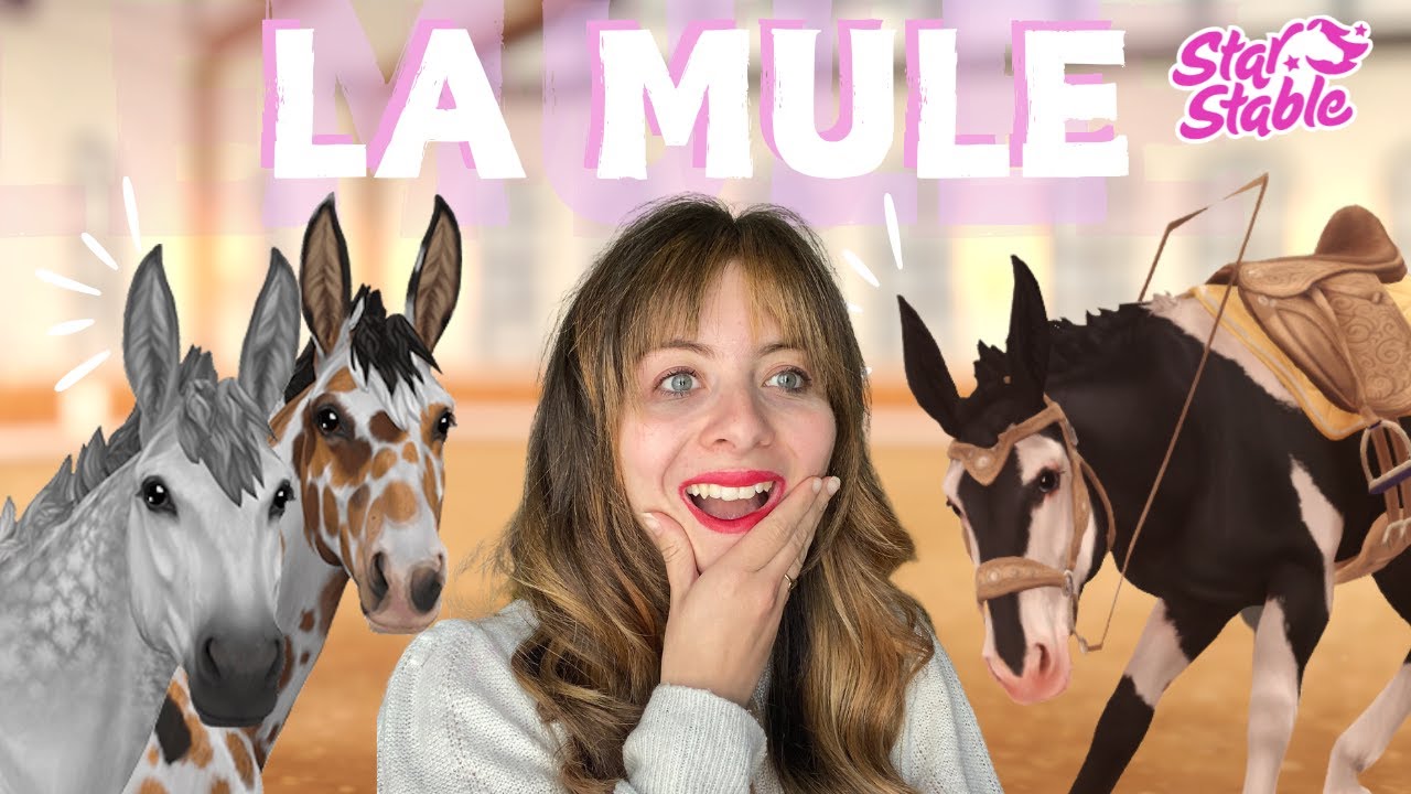 L'achat des MULES avec TIRAGE AU SORT sur Star Stable Online 😍 (+ léger ...