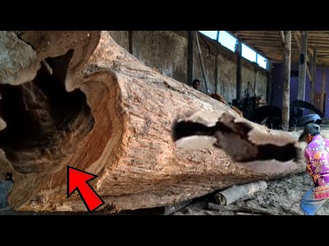227 seconds before the venomous appears at the sawmill