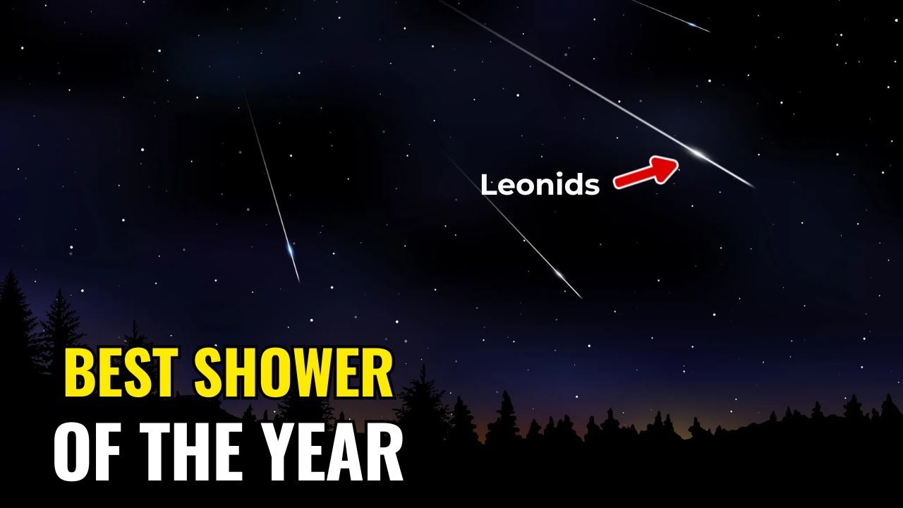 Leonid Meteor Shower November 2025: Here's How To Watch This Amazing ...