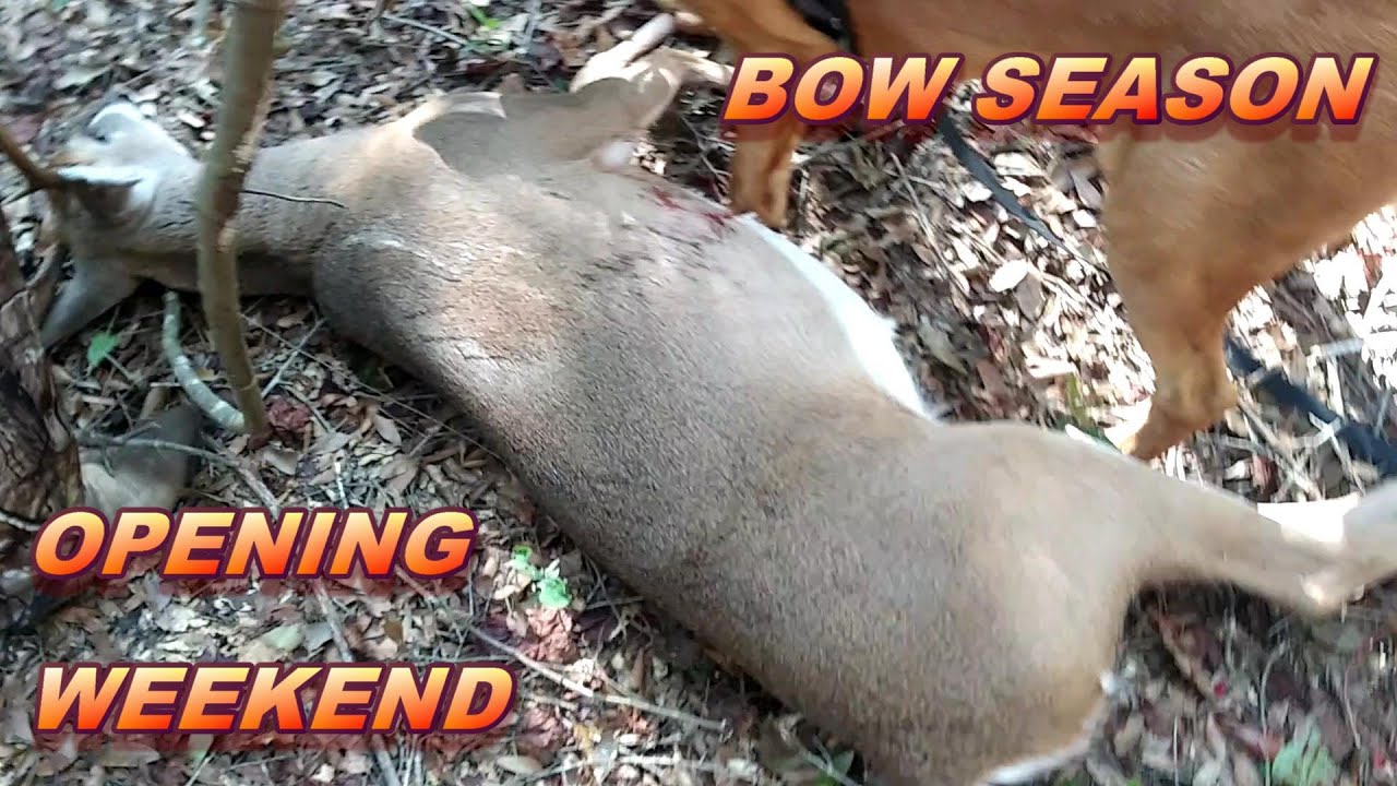BOW SEASON opening weekend! My first solo hunt EVER! - YouTube