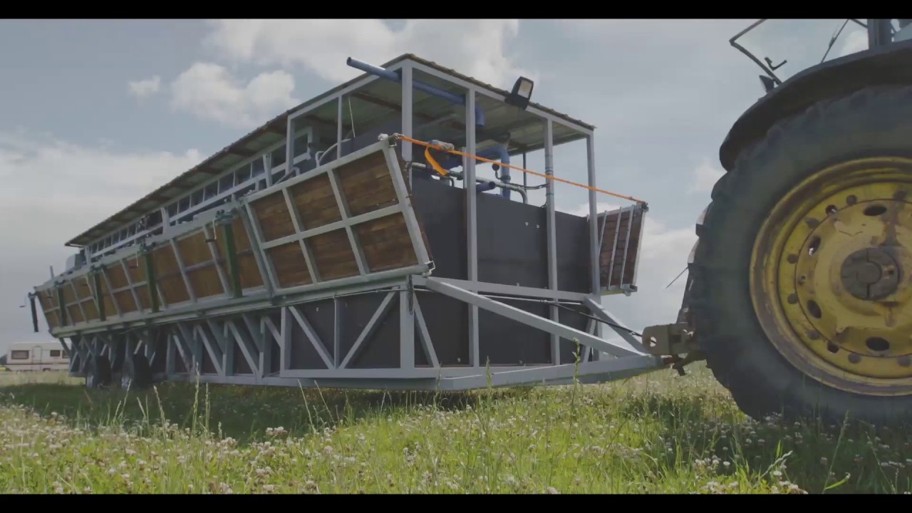 AUGA ekologinė gyvulininkystė - YouTube