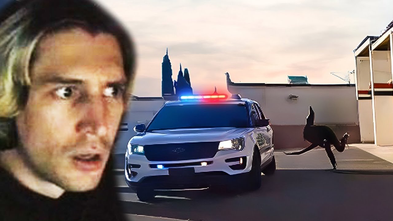 The Murder of Officer Anthony Ferguson | xQc Reacts - YouTube