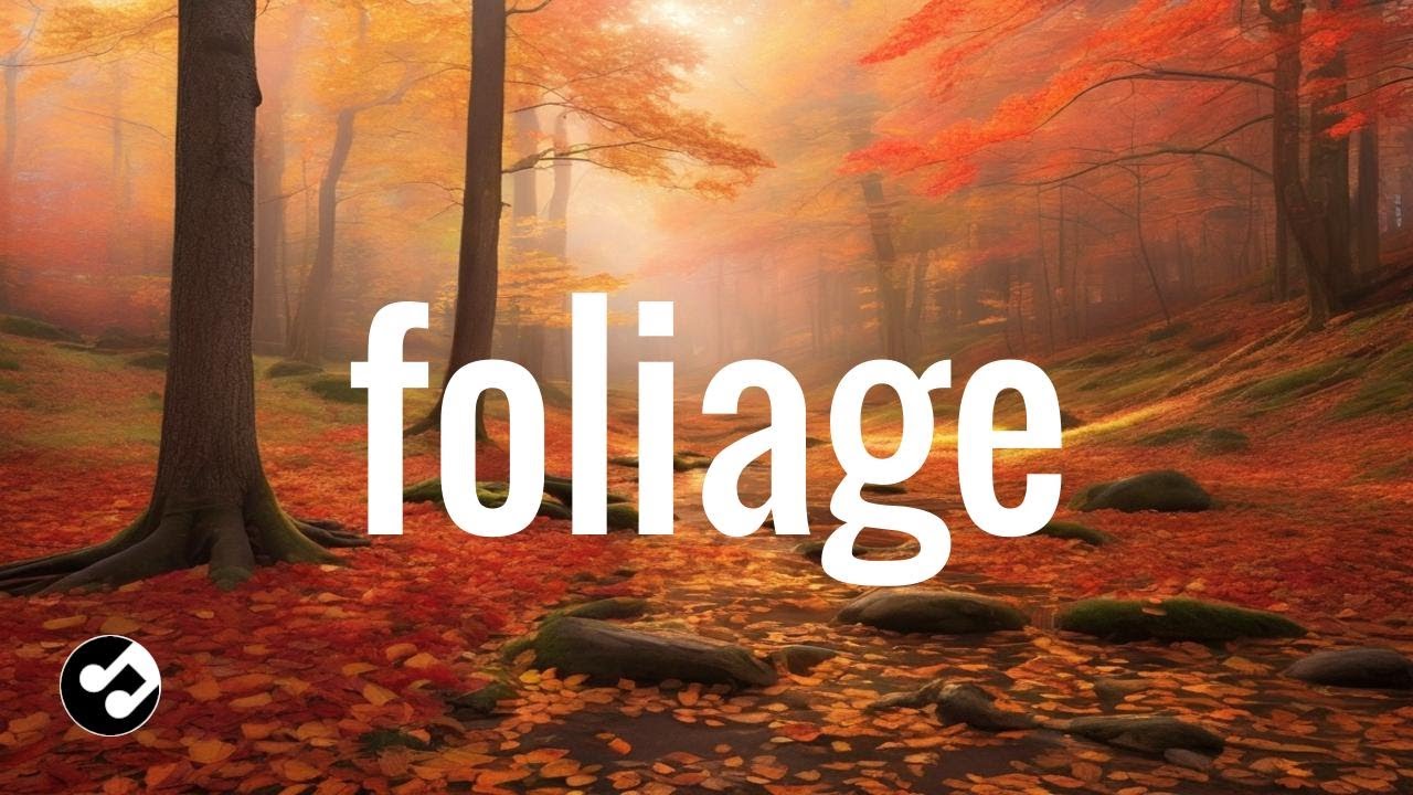 Fall Foliage Oasis - YouTube