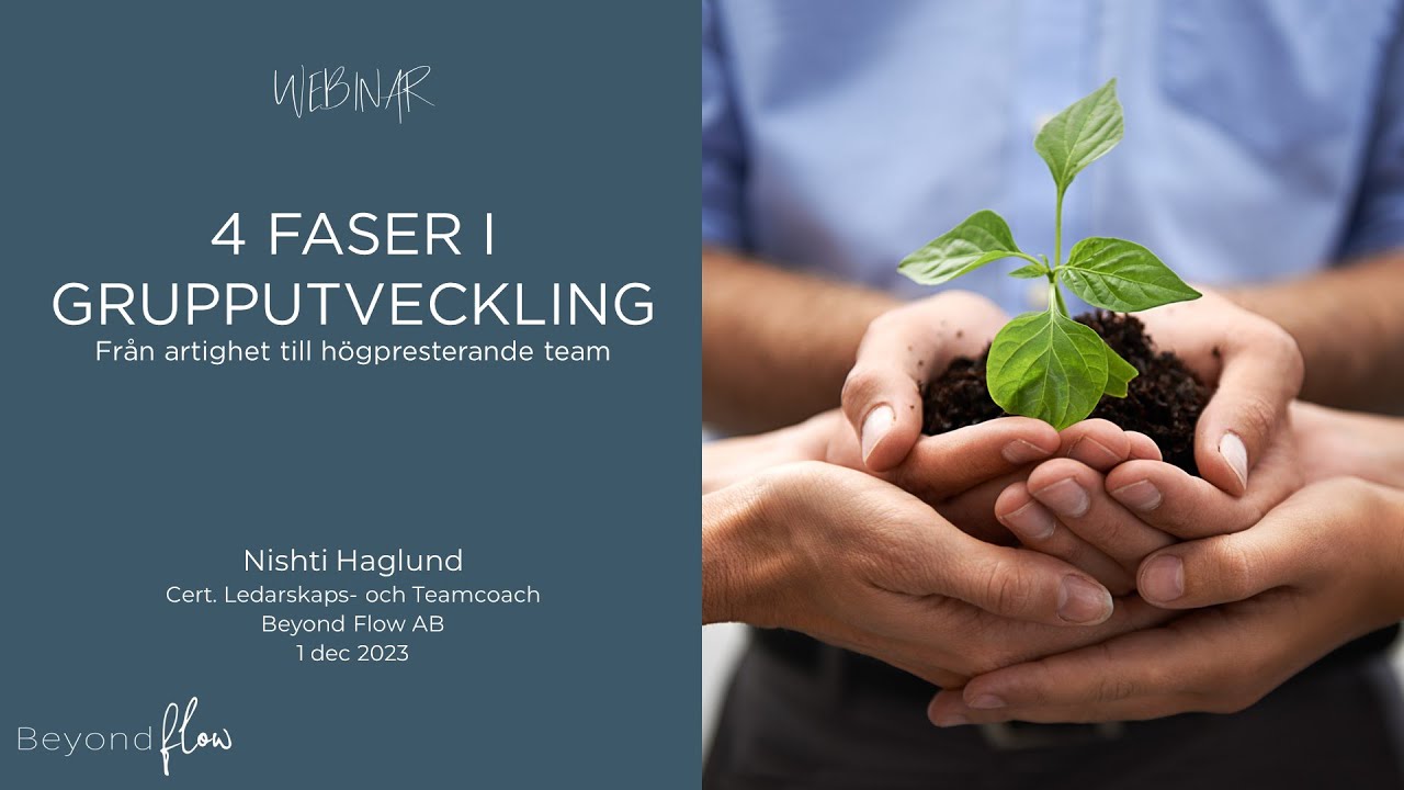 Webinar 4 Faser i Grupputveckling Susan Wheelan - YouTube