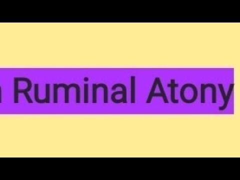 Histamine as a cause of Ruminal Atony #veterinary #medicine # ...
