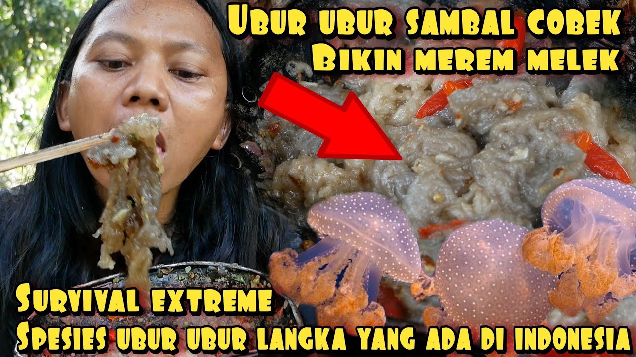 UBUR UBUR SAMBAL COBEK BIKIN MEREM MELEK - YouTube