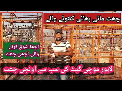 chat Mani Bhai khoye waly lahore mochai gate ki sub sy aunchai chat 🧿🧿🧿 ...