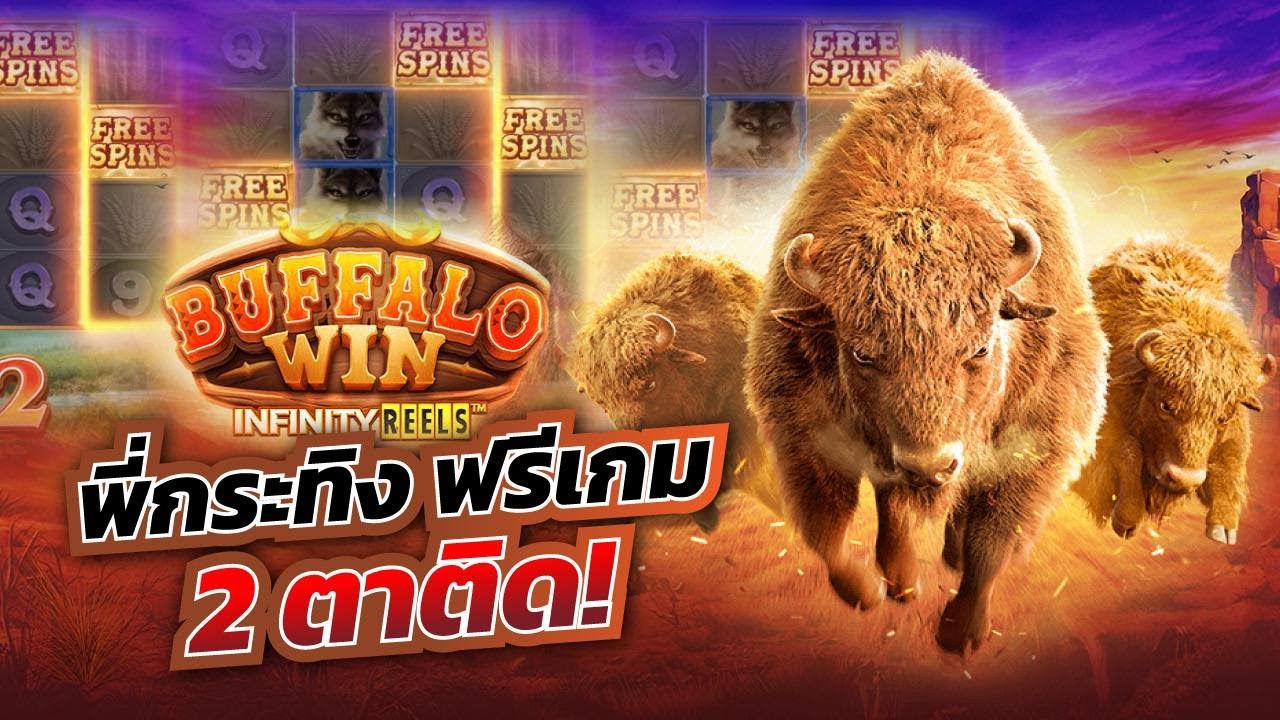 สล็อต PG Buffalo Win พี่กระทิง ฟรีเกม 2 ตาติด !!! - YouTube