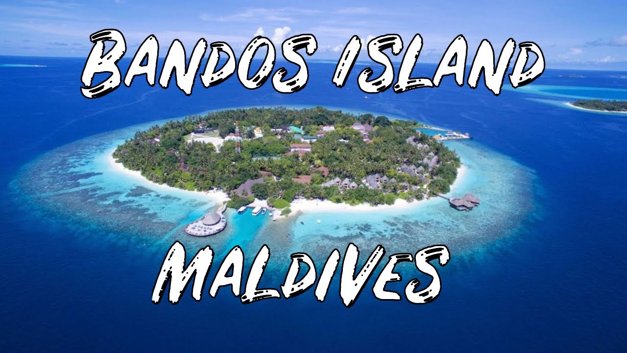 A trip to Bandos Island - Maldives (Freediving 4K - 60 FPS) - YouTube
