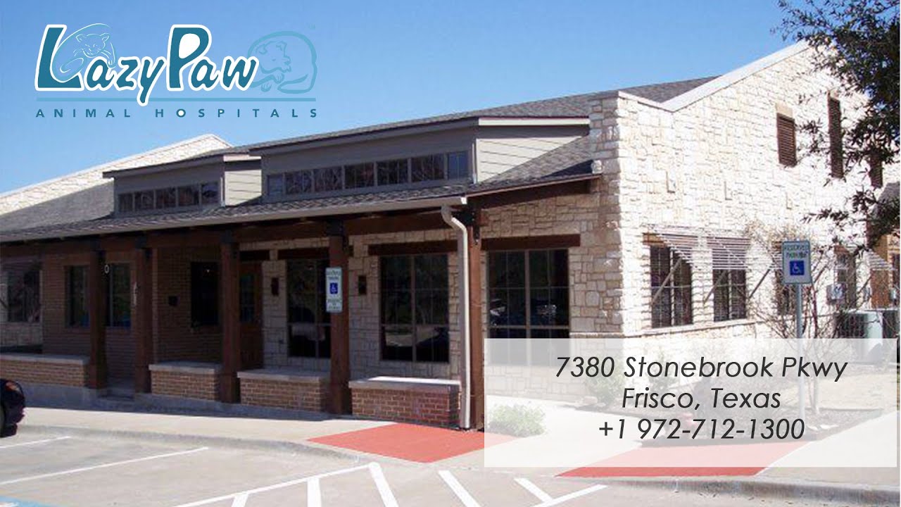 Lazy Paw Animal Hospital