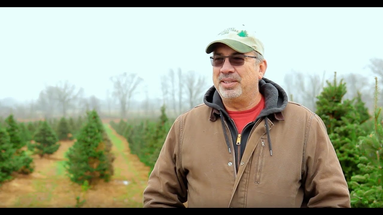 Life of a Christmas Tree Farmer - Levi Visits a U-Cut Farm | S1:E12 ...