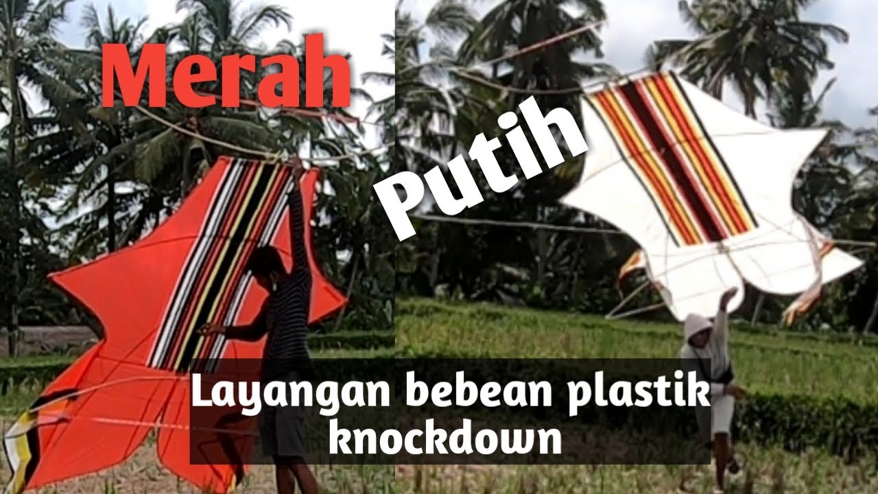 Duo layangan bebean merah dan putih, uji layak terbang di uma suan ...