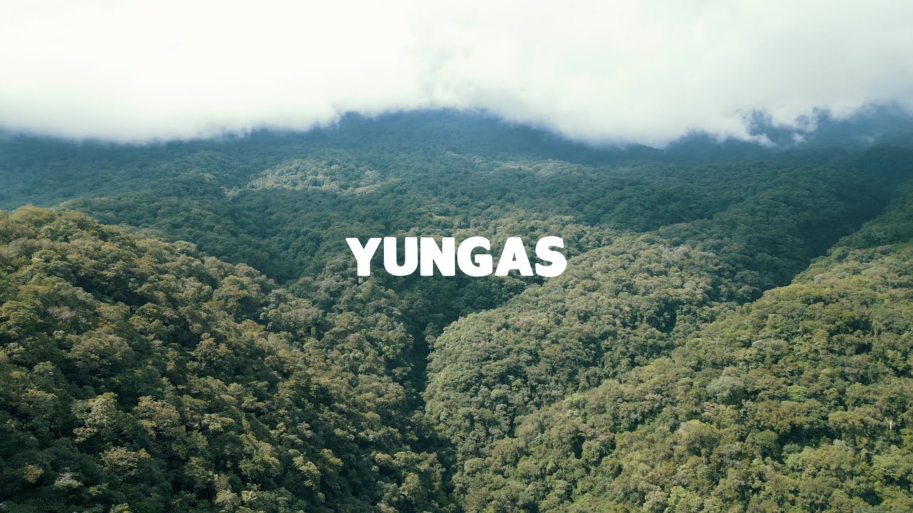 YUNGAS - JUJUY - YouTube