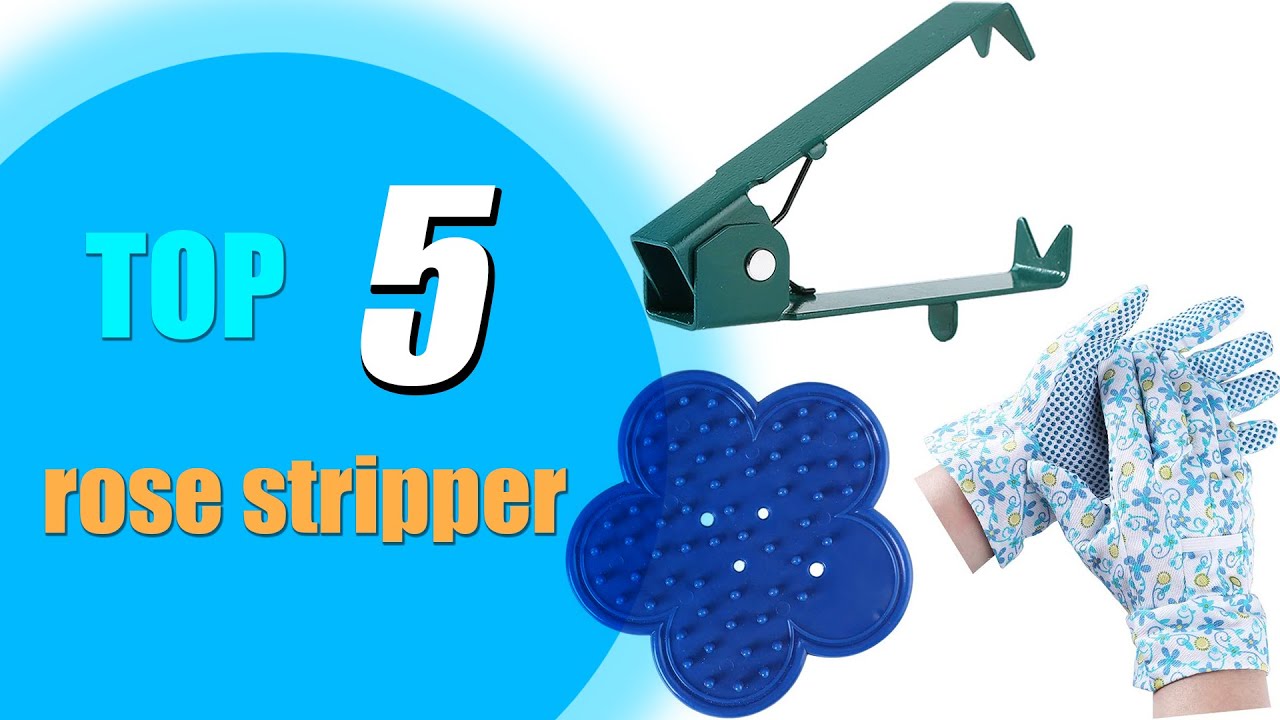 Top 5: Best rose stripper 2022 in USA and Canada | Metal and Plastic ...