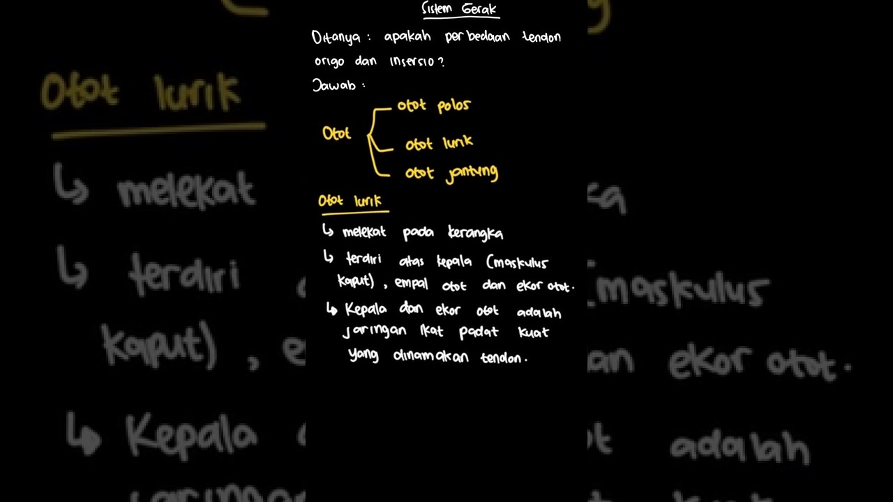 Apakah perbedaan antara tendon origo denga... | Biologi Untuk S | Kelas ...