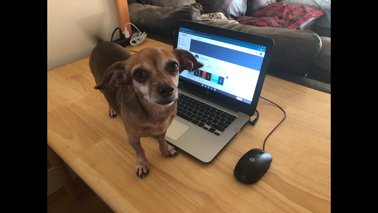 Chromebook Skill Volume up and down - YouTube