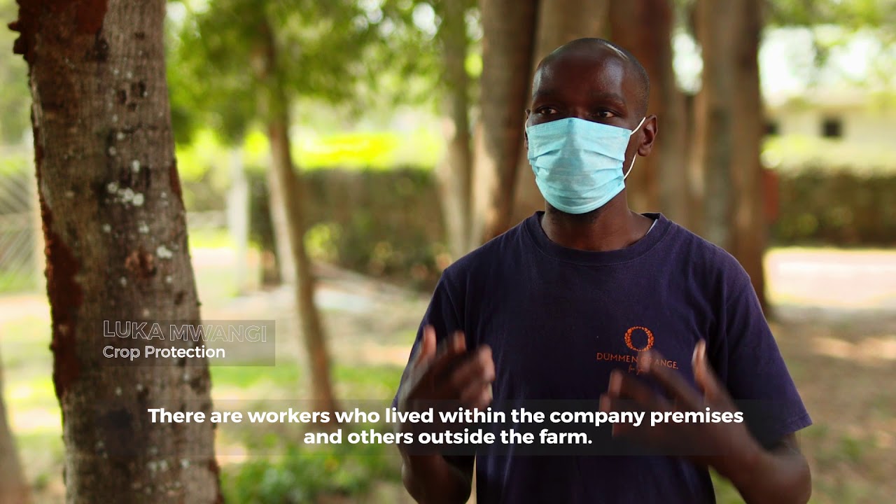 Resilience during the Covid-19 pandemic - Fides Kenya/Dümmen Orange ...