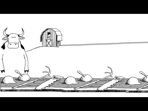 The Awful Story Of Cow Tools